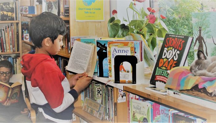 Library - Dolphin School